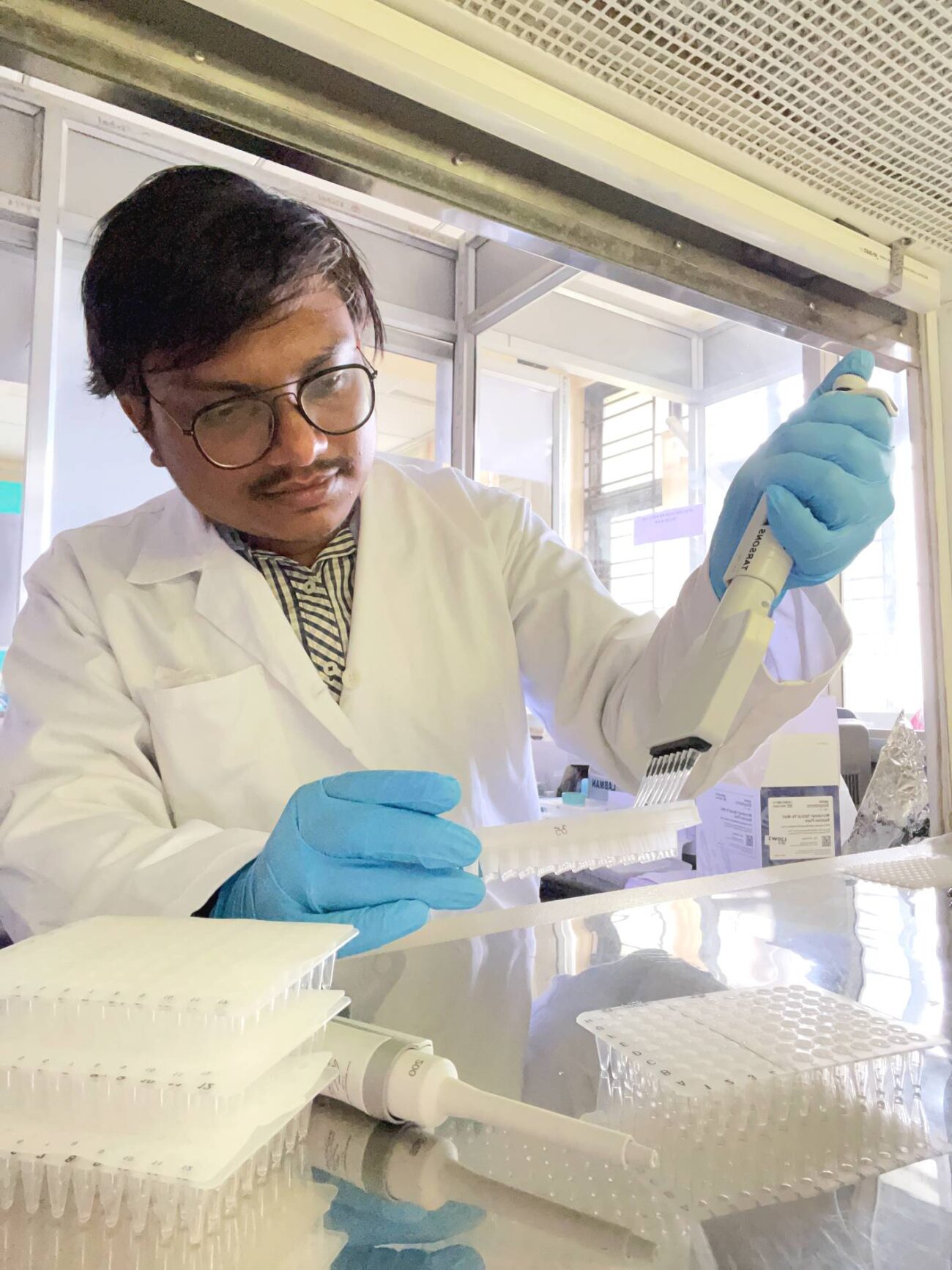 One Red Panda, But Two Subspecies? - Red Pandazine